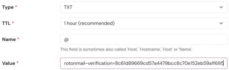 Proton Mail custom domain tutorial | WP Explainer