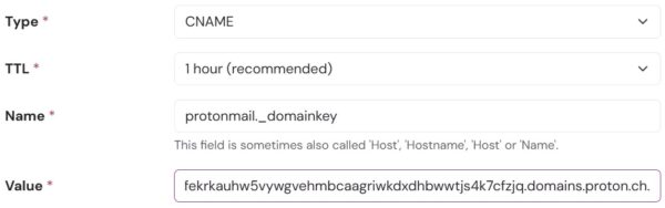 Proton Mail custom domain tutorial | WP Explainer